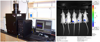 MGH Center for Systems Biology :: BLI